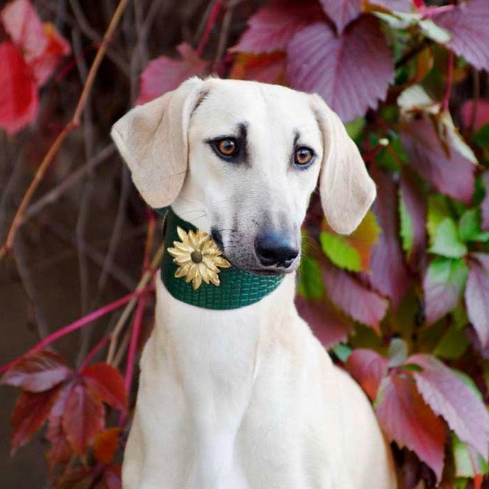 Account Search Cart ( 0 )